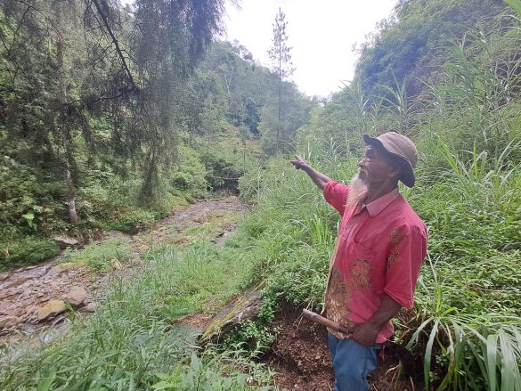 Kisah Mbah Sadiman, Pelestari Hutan dan Sumber Air di Wonogiri ...